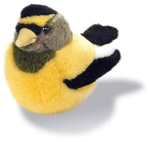 Amazon.com: Evening Grosbeak - Audubon Plush Bird (Authentic Bird Sound ...