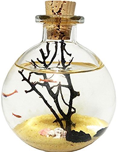 Top 5 Best shrimp ecosphere for sale 2016 | BOOMSbeat