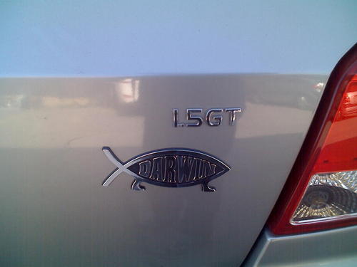 Amazon.com: Darwin Fish Car Emblem: Automotive
