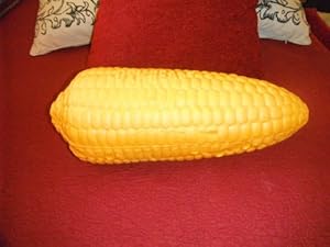 Amazon.com : Cheesehead Corncob Hat Nebraska Cornhusker + Iowa Hawkeye ...