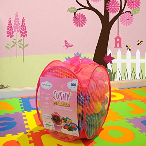 WPINK-TV 5 [1993 Video] - asmanager