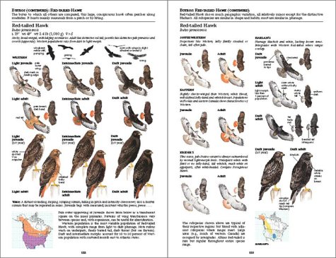 the sibley guide to birds | Bird watching books's Blog