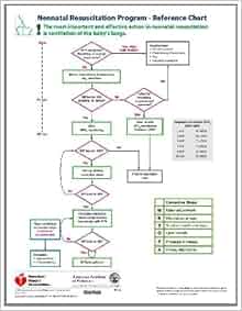 Neonatal Resuscitation Program - Reference Chart(large wall chart ...