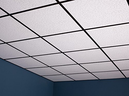 Buy Genesis - 2ft x 2ft Stucco Pro White Ceiling Tile (carton of 12 ...