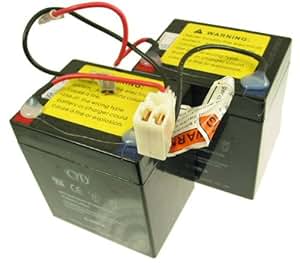 Amazon.com : Razor E100/E125/E150 Battery Set : Sports Scooter ...