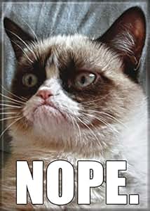 Amazon.com: Grumpy Cat - NOPE - Refrigerator Magnet: Kitchen & Dining