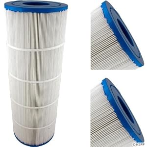Amazon.com : Pentair Clean and Clear Plus Filter Cartridges Item ...