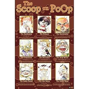 Amazon.com: (24x36) Scoop on Poop (Types) Art Poster Print: Type Of ...