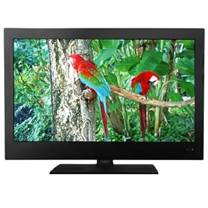 Curtis 19-Inch Flat Panel LED HD TV, 1080i