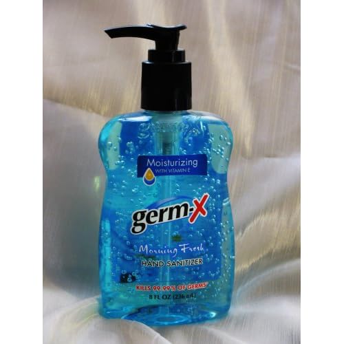 Amazon.com : Germ-x 8 Fl Oz Hand Sanitizer Moisturizing Morning Fresh ...
