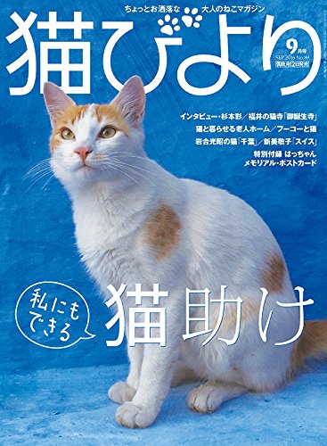 Japan cool culture and products information. - DOMO ARIGATO JAPAN