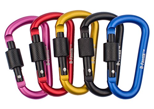 Top 5 Best d ring keychain for sale 2016 | BOOMSbeat