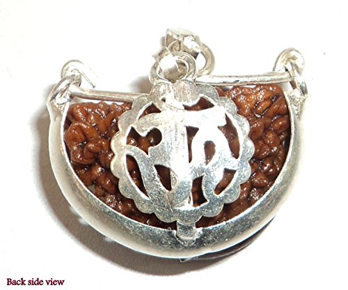 Buy 1 Mukhi Rudraksha / One Face Rudraksh - Lab Certified on Amazon ...