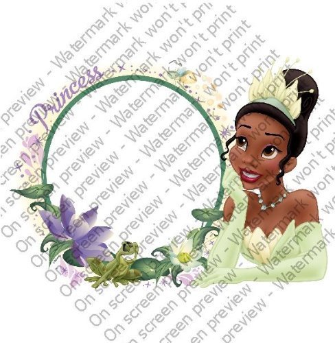Buy 1/4 ~ Disney Princess Tiana Photo Frame Birthday ~ Edible Image ...
