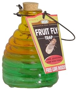Springstar Glass Fruit Fly Trap - Best Power & Hand Tools