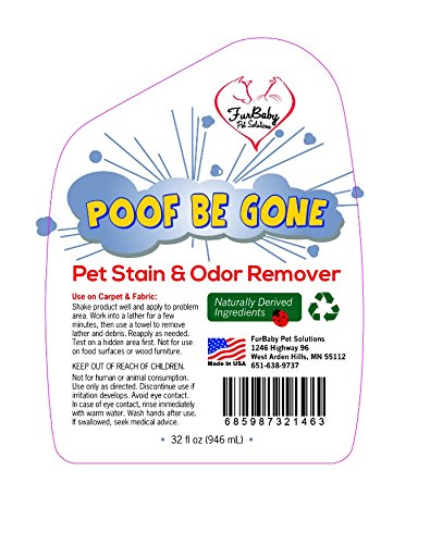 POOF BE GONE Pet Stain and Odor Remover - Eliminates Tough Stains - All ...