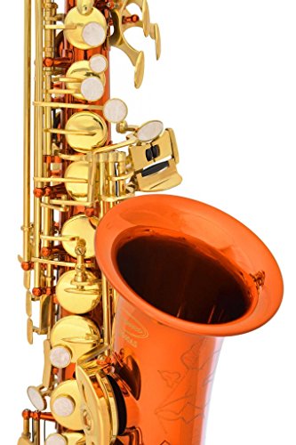 Lazarro Professional Orange-Gold Keys E-flat Eb Alto Saxophone Sax with ...