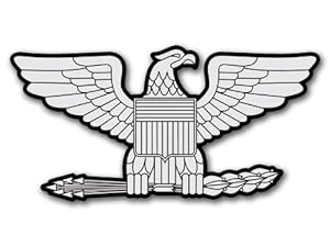 Amazon.com: RANK Colonel EAGLE Shaped Sticker (silver insignia decal ...
