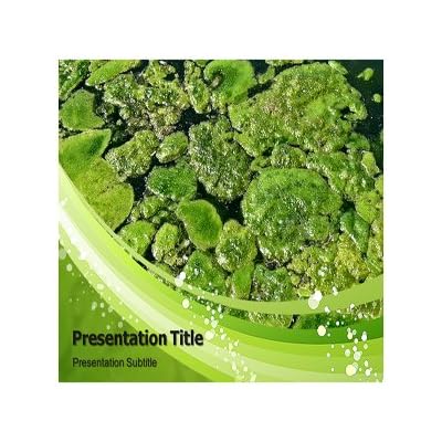 Amazon.com: Algae Powerpoint Templates - Algae Powerpoint (PPT ...