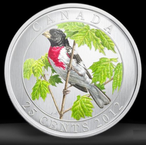 Birds of Canada on Colorful Coins