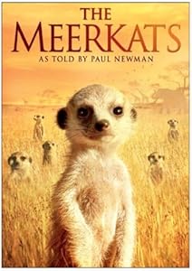 Being A Meerkat - The Weekend Country Girl