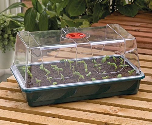 Greenhouse Plant Starter