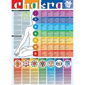 Amazon.com: LAMINATED Chakra Chart Educational Poster - 27x39: Prints ...