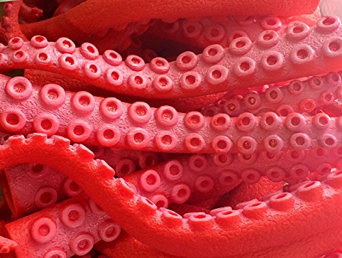 Set of Five Rubber Finger Tentacle Squid Octopus Puppets Apparel ...