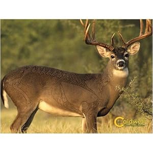 Amazon.com : Caldwell Life Size Cardboard Deer Target Md: 234412 ...