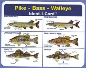 Amazon.com : Pike - Bass - Walleye Ident-I-Card - Freshwater Fish ...