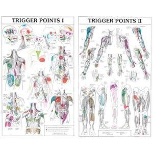 Trigger Points I and II Laminated Chart/Posters: Amazon.com: Industrial ...