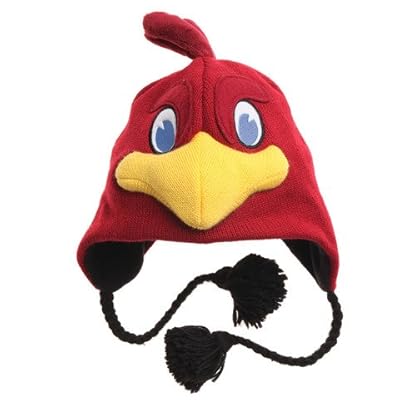 Amazon.com : ZooZatZ NCAA University Of South Carolina Gamecocks Cocky ...