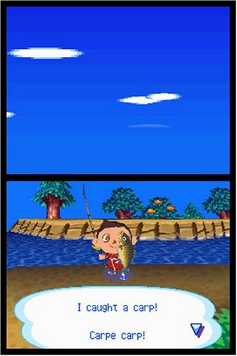 animal crossing: wild world | Nintendo DS games