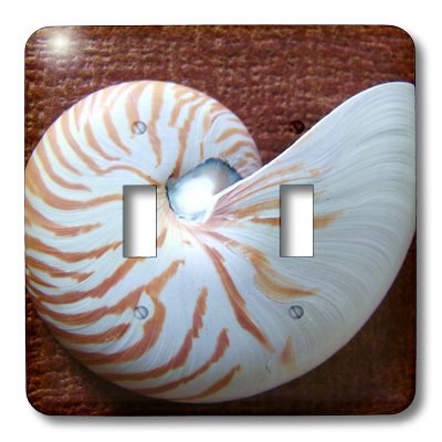 Decorative Wall Plates -Sea Shells