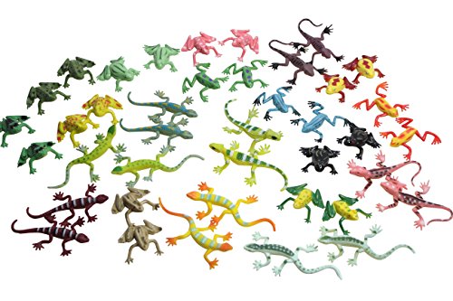 Frogs And Lizards Exact Copy Matching Game Preschool And Kindergarten ...