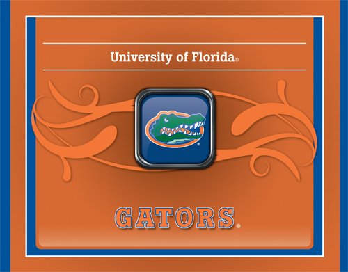 Florida Gator Note Cards - FindGift.com