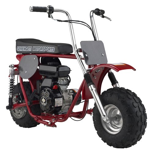 Serengeti Badger 100 - What's the deal? | OldMiniBikes.com