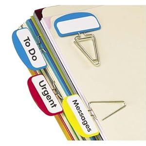 Amazon.com : Pendaflex Pilesmart Label Clips with Write On Tabs ...