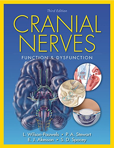 Cranial Nerves: Function and Dysfunction - Import It All