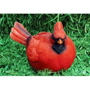 Amazon.com : Red Cardinal Fat Bird, 5" : Wild Bird Platform Feeders ...