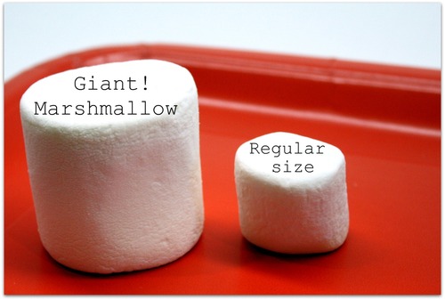 Amazon.com : Campfire, Premium Extra Large 2 Inch Marshmallows, 28oz ...