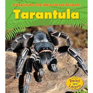 Tarantula (Heinemann Read and Learn: a Day in the Life: Rain Forest ...