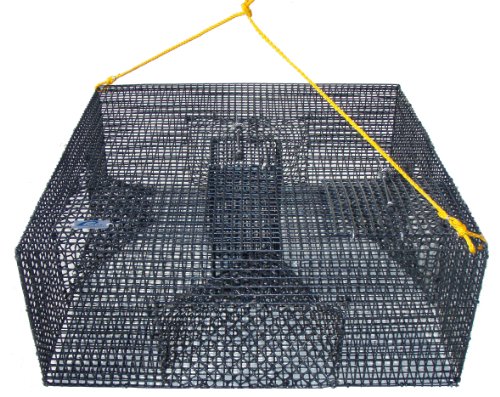Top 5 Best shrimp trap for sale 2016 | BOOMSbeat