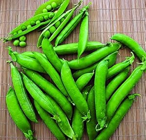 Amazon.com : Green Arrow Pea Seeds - 14 grams : Bean Plants : Patio ...