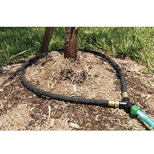 Amazon.com : Tree Ring Soaker Hose - 6 Feet : Garden Hoses : Patio ...