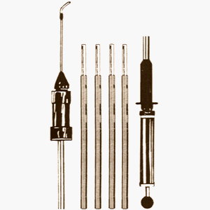 Amazon.com : Dustick - Bee Pole : Home Pest Control Products : Patio ...