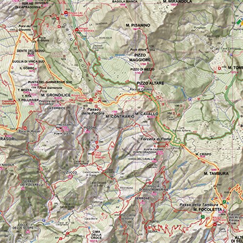 Generazione Mappa Topografica | Page 8 | Avventurosamente