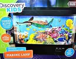 Amazon.com: Discovery Kids Animated Tropical Fish Marine Aquarium Lamp ...