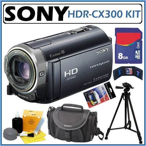 Sony HDRCX300 HDRCX300V HDR-CX300 16GB Flash Memory High Definition ...