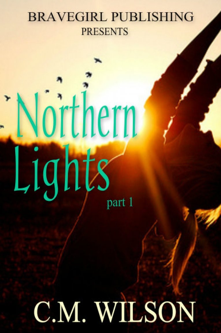 Brave Girl Publishing: Getting to know the books of CM Wilson